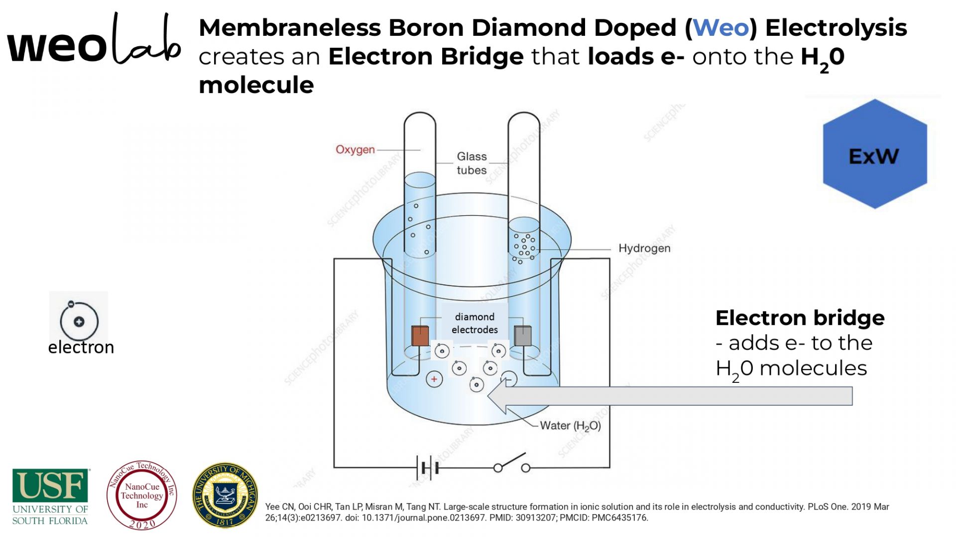 BA-005-E1-Electrolysis Module